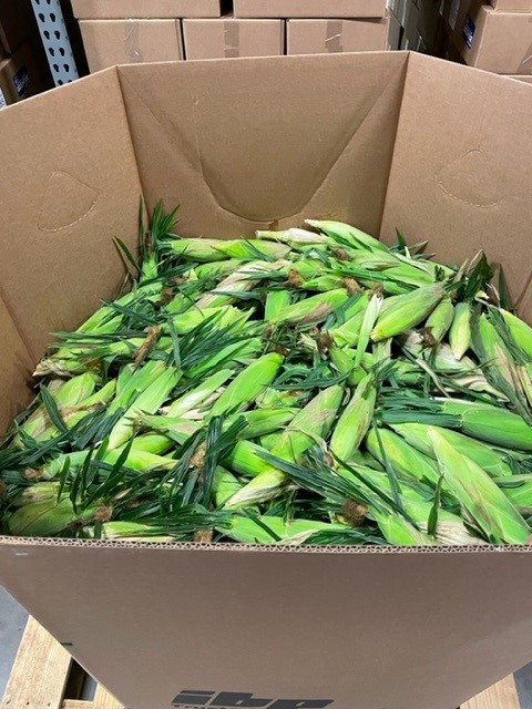 Retired priest determined to help feed the hungry - The Catholic Voice